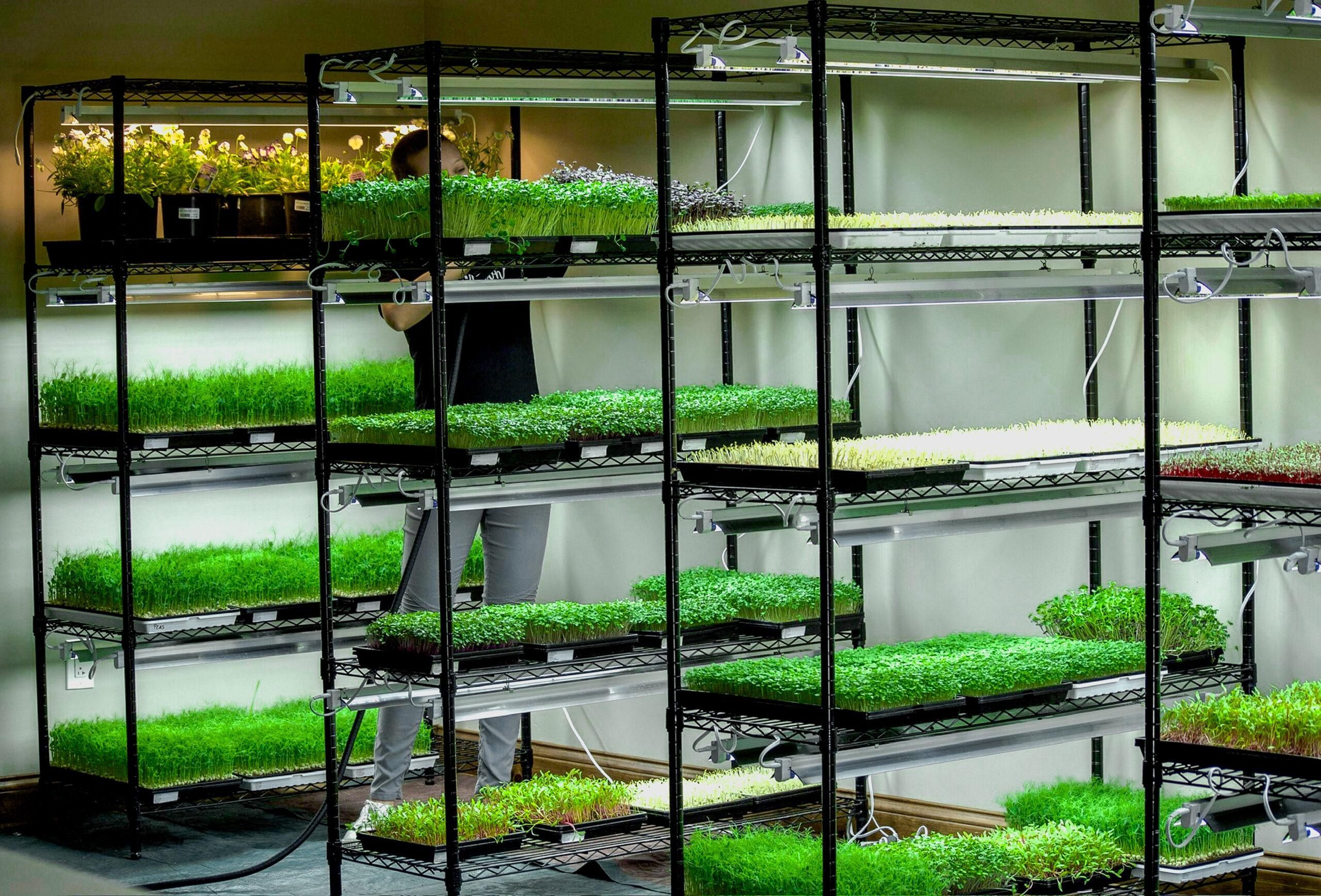 Buy Farm Fresh Products Online | Oswego, IL