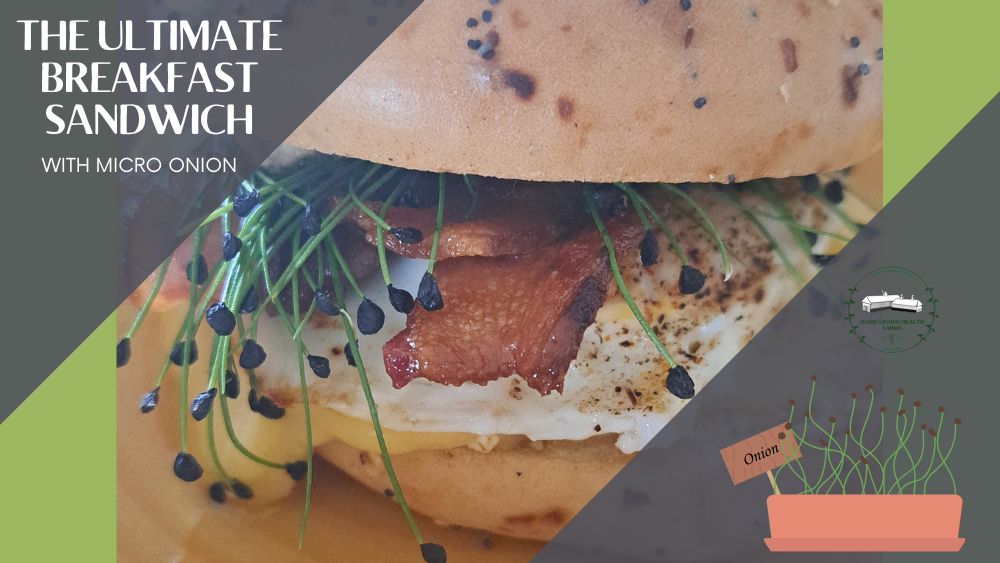 Ultimate Breakfast Sandwich - Oswego Farm